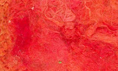 Silk Cocoon Sheets Hand Dyed